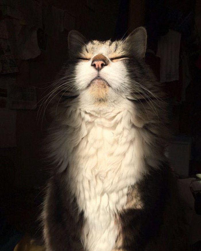 CV. Alexander Tretyakov